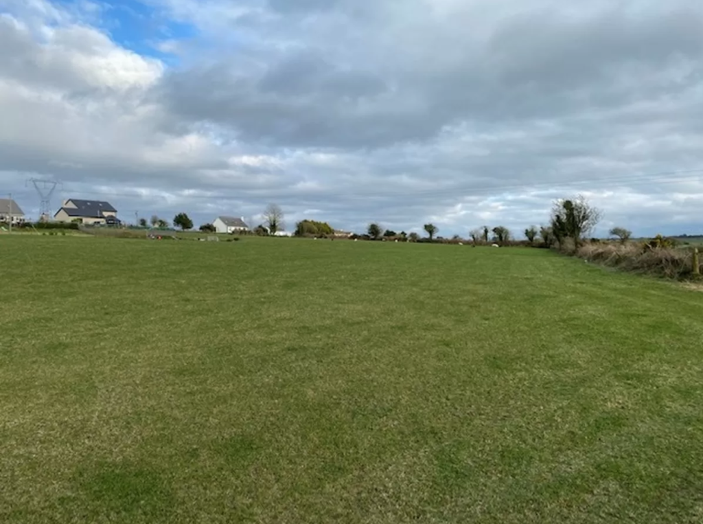 Laraghmore Ballyglunin - Michael Ryder Auctioneers