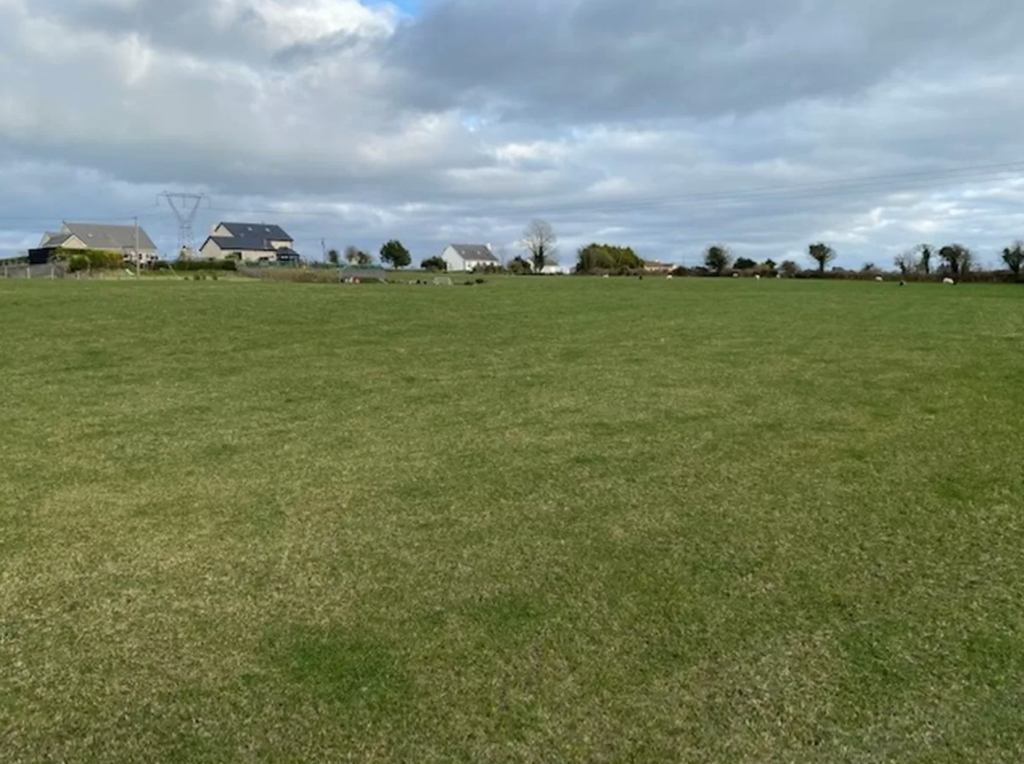 Laraghmore Ballyglunin - Michael Ryder Auctioneers